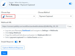How to Transfer Razorpay Payment Details Automatically to Google Spreadsheet | Pabbly